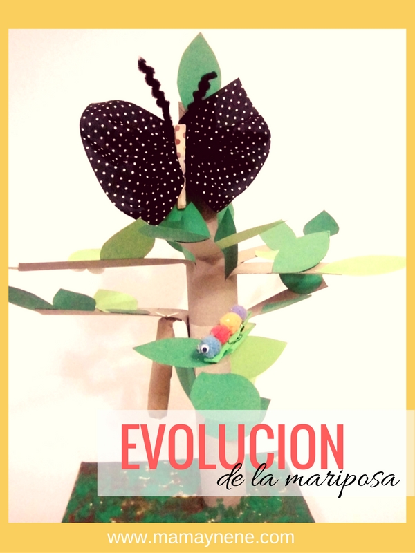 Evolución de la mariposa para niños | Mamá&nené - Maternidad y recursos ...