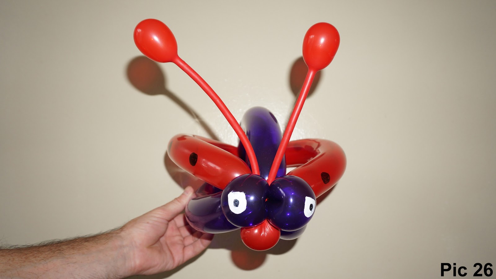 CLASSICAL: Balloon bug hat