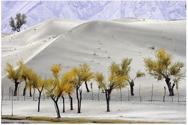 LandScapes: Cold Desert in Skardu Pakistan