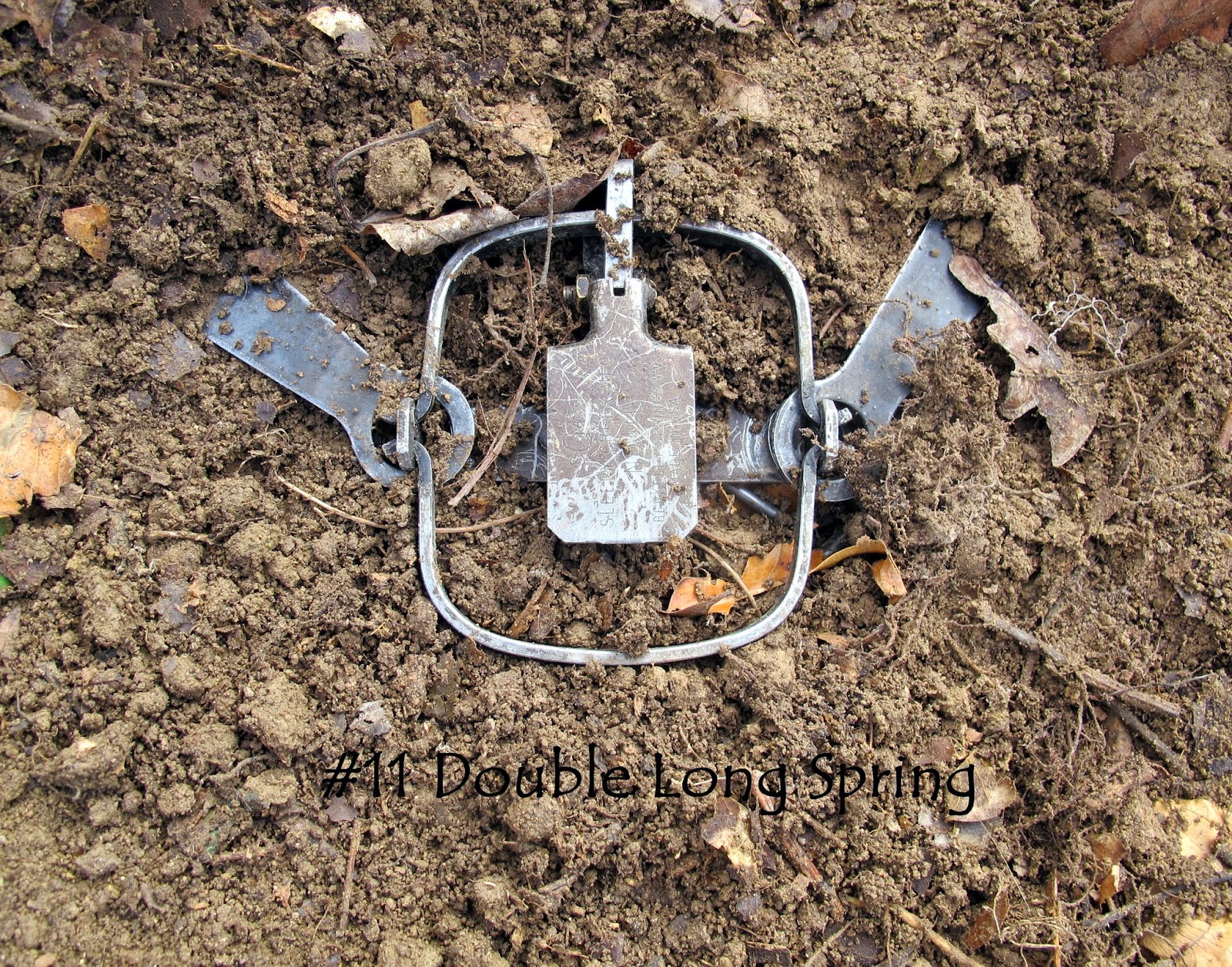 Woodland Wisdom: Basics of Upland Trapping-