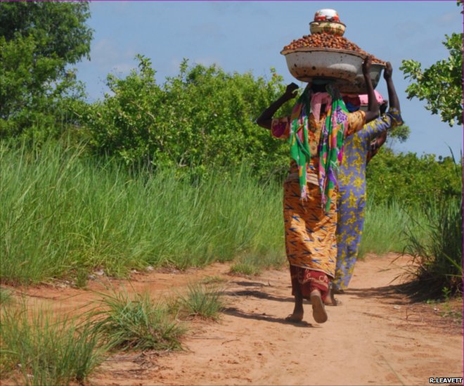 Green Hair: How Shea Butter is Made