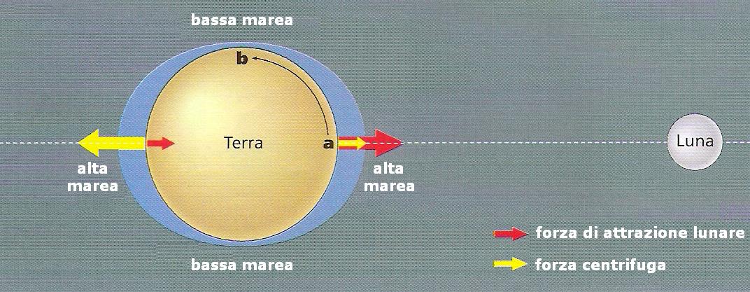 Imparare con la Geografia: 4 Elementi del paesaggio: il mare e la costa
