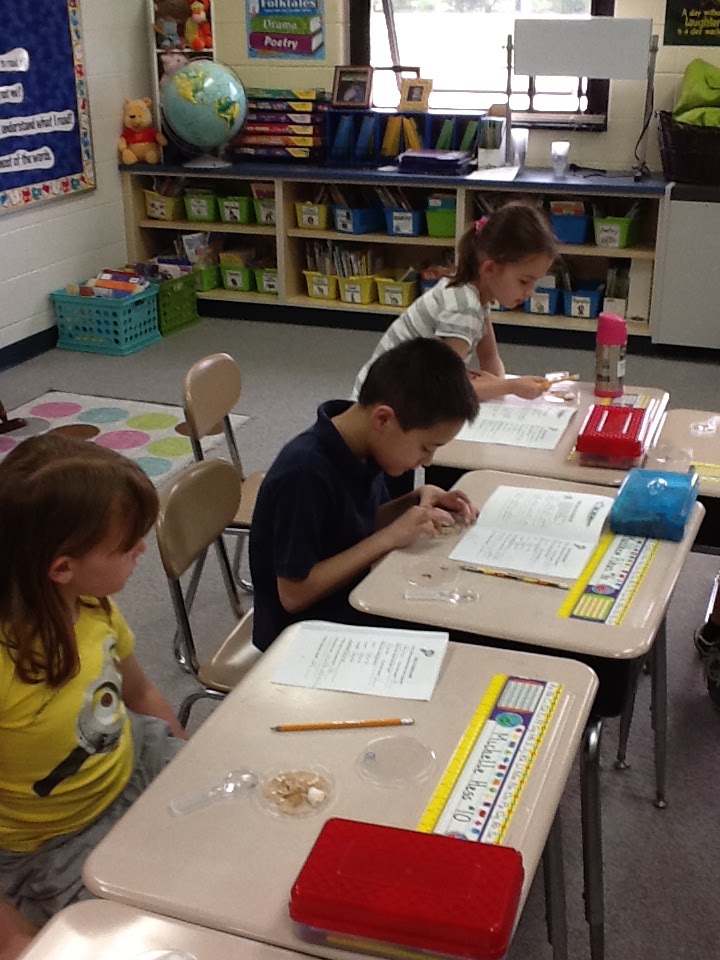 Mrs. Bretz's Second Grade Blog