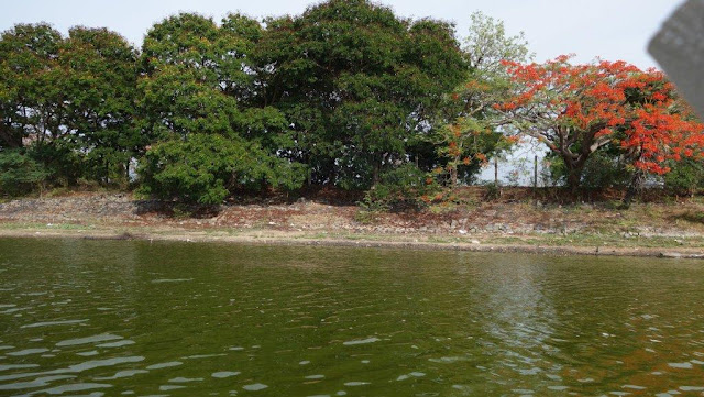 Pondicherry Tourism: Ousteri Wetland and National Park, Puducherry