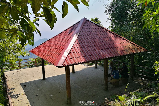 Bukit Tokun 大山脚卓坤山[必拍]大树 - 乐飞翎 ♥ LUVFEELIN