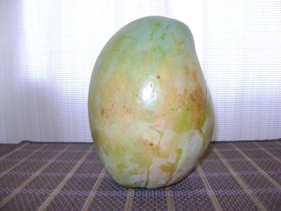 Festival del Mango - Río Hato, Panamá: Los MANGOS de Panamá