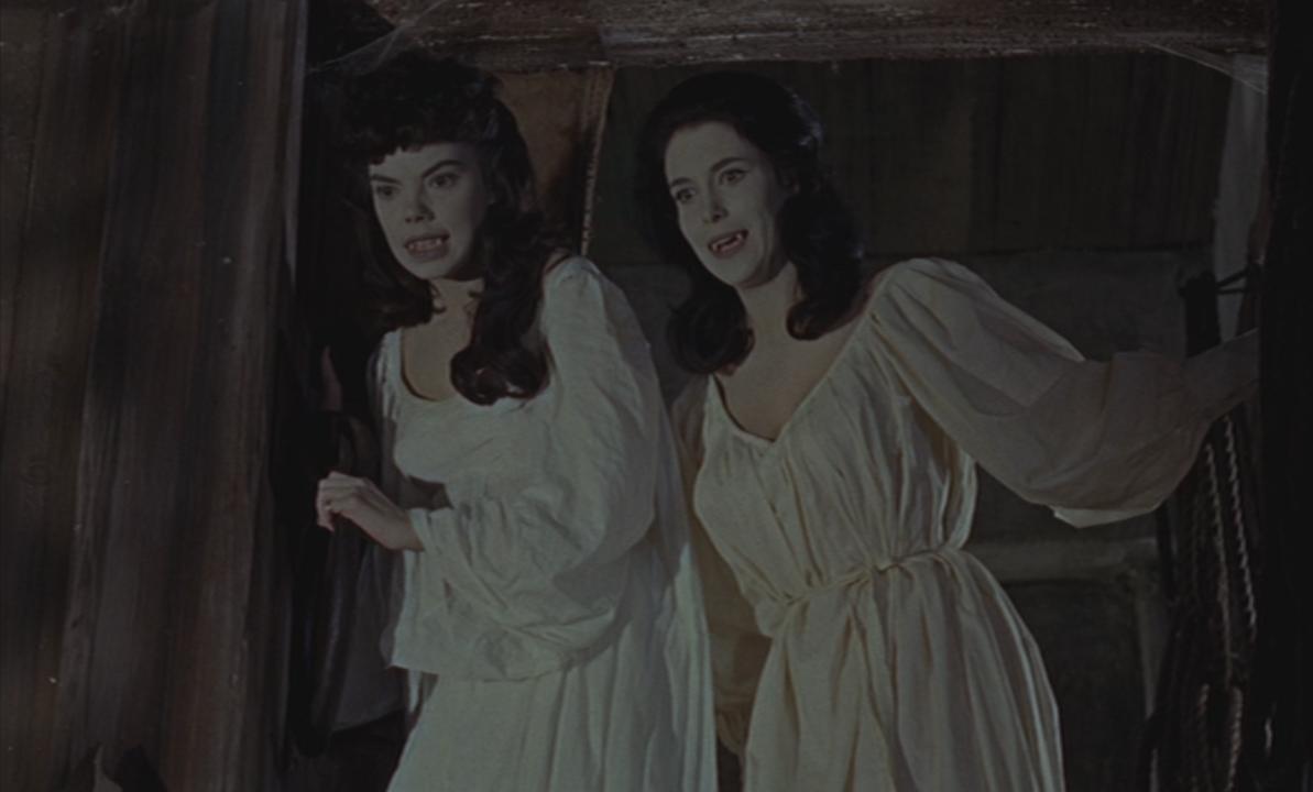 Dracula, Bride, Female vampire