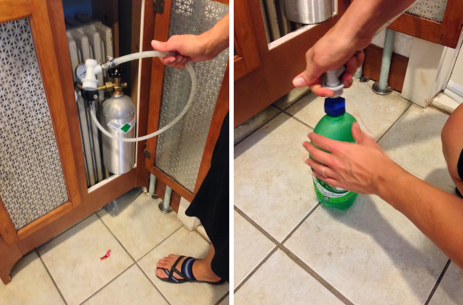 Grosgrain: DIY Carbonator!!