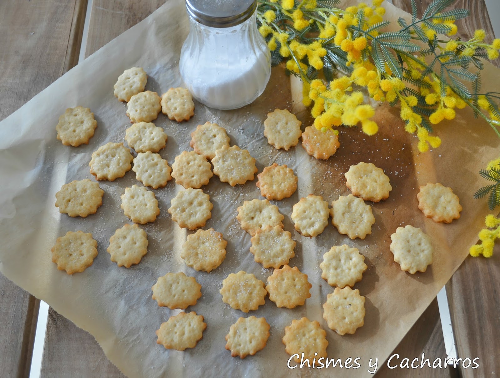 Galletas Saladas tipo Ritz - Chismes y Cacharros