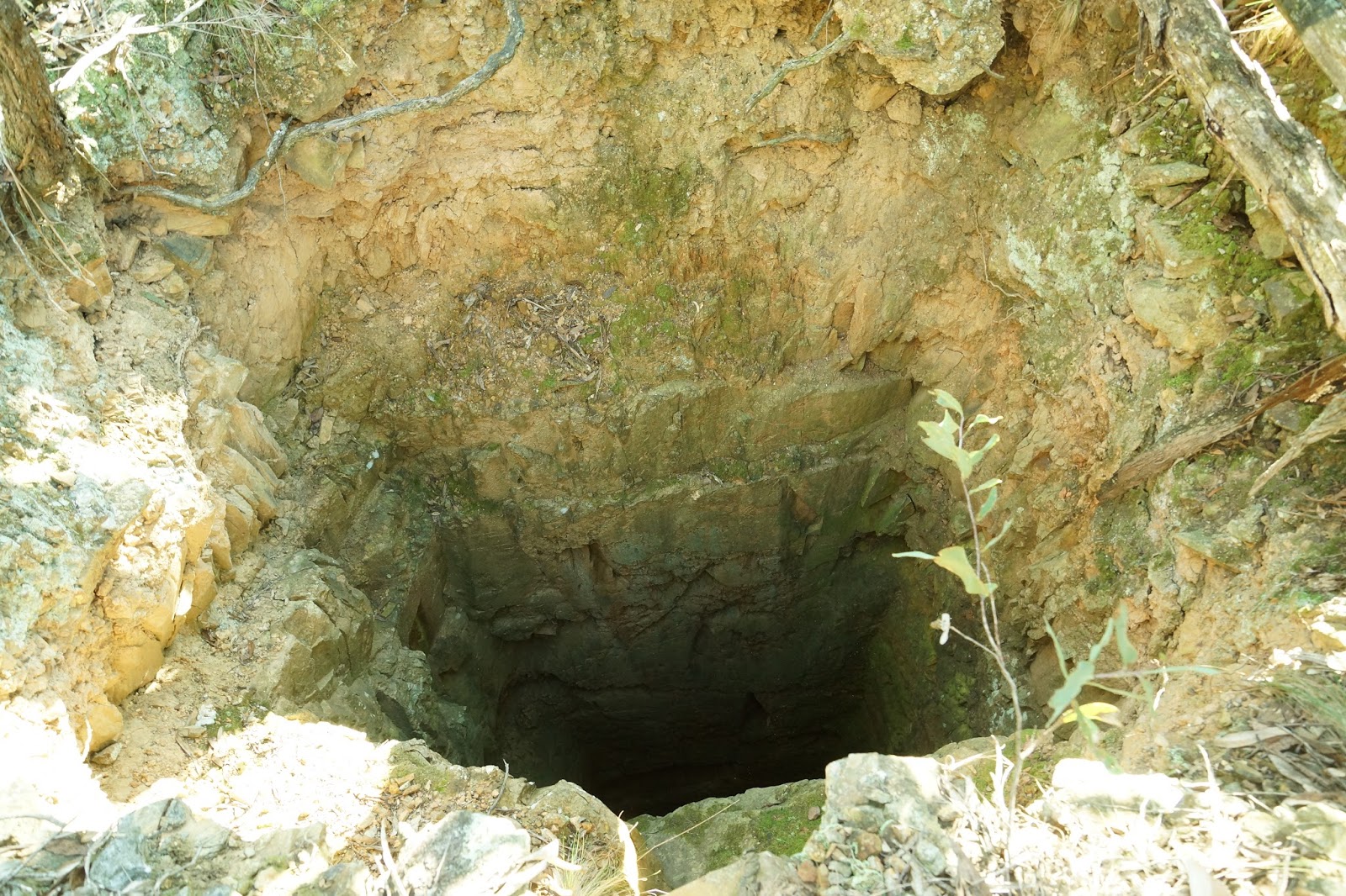 East-Gippsland Birds: The Haunted Stream (Stirling)