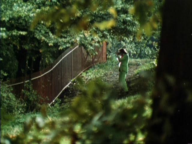 the BlowUp moment: Wonderwall (Joe Massot 1968)