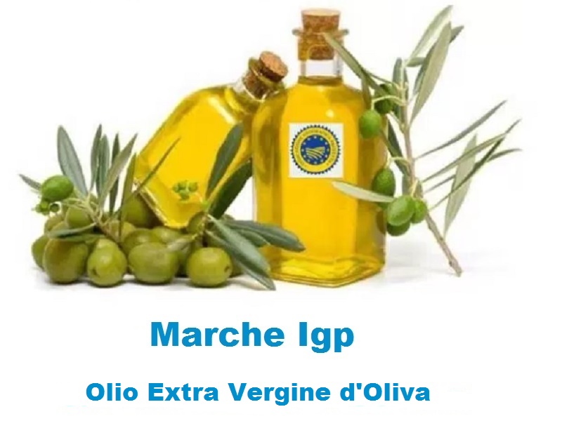 massignanonews: L’olio “Marche” ottiene l’IGP dalla UE