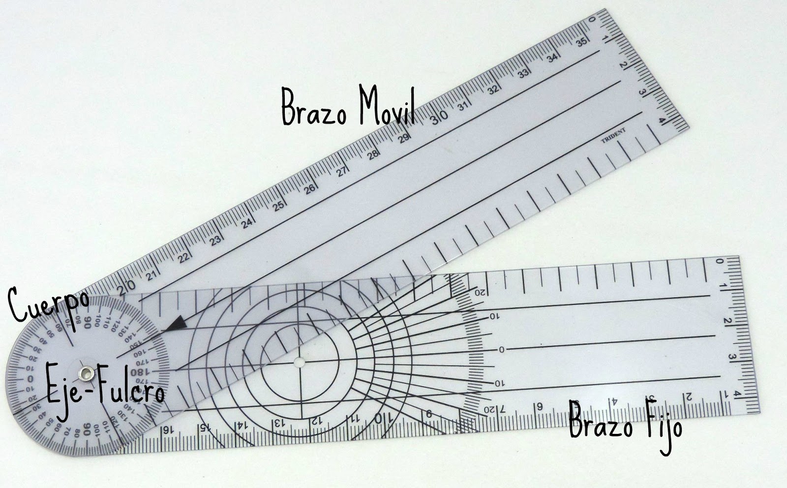 Guia de Goniometria NK: marzo 2016