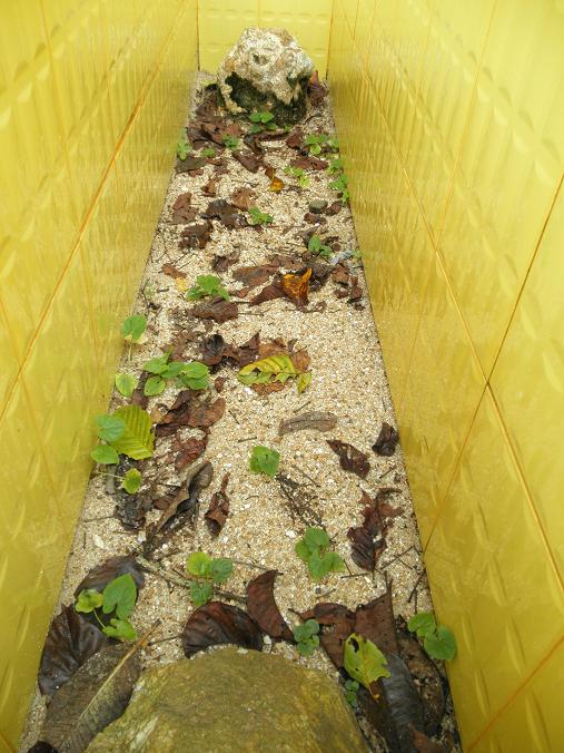 SENI LAMA MELAYU (MALAY OLDEN ART): Makam (Tomb of) Raja Loyor