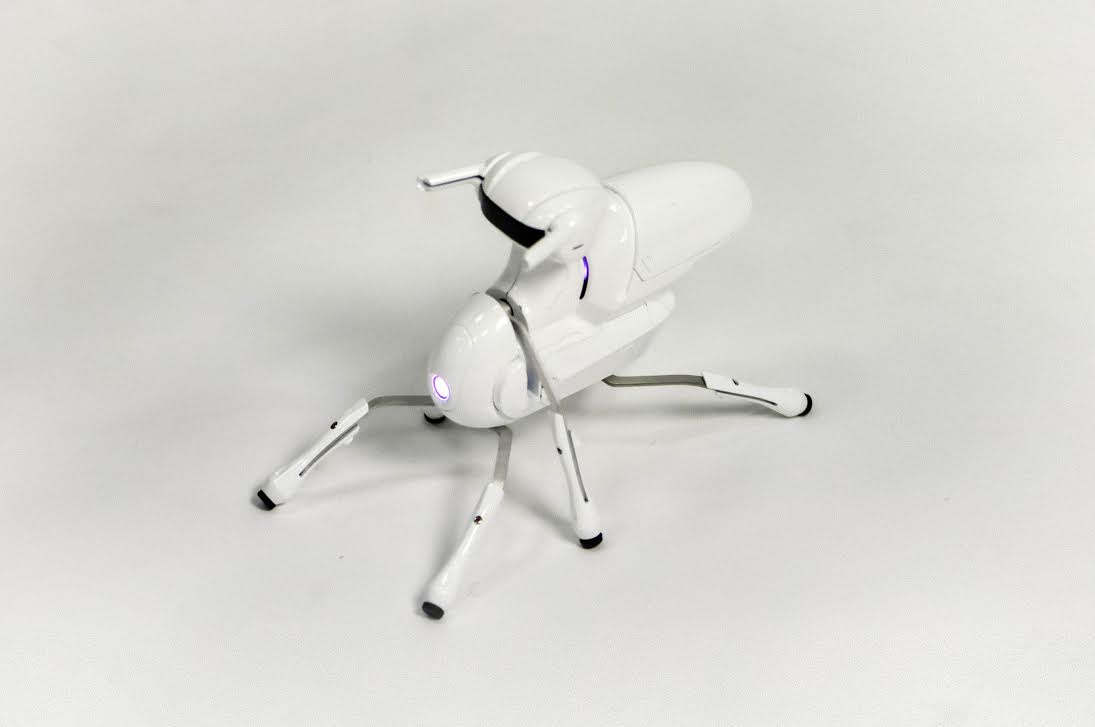 Antbo , contruye tu robot insecto | SalbarMas