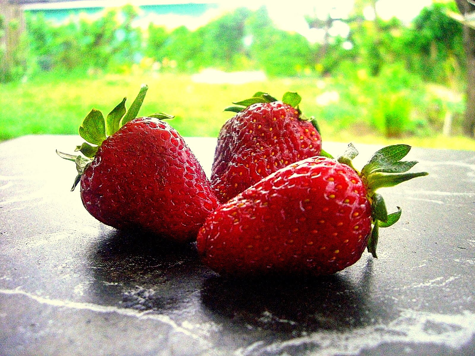 VALSUL VIETII: A VENIT FRUMOASA PRIMAVARA