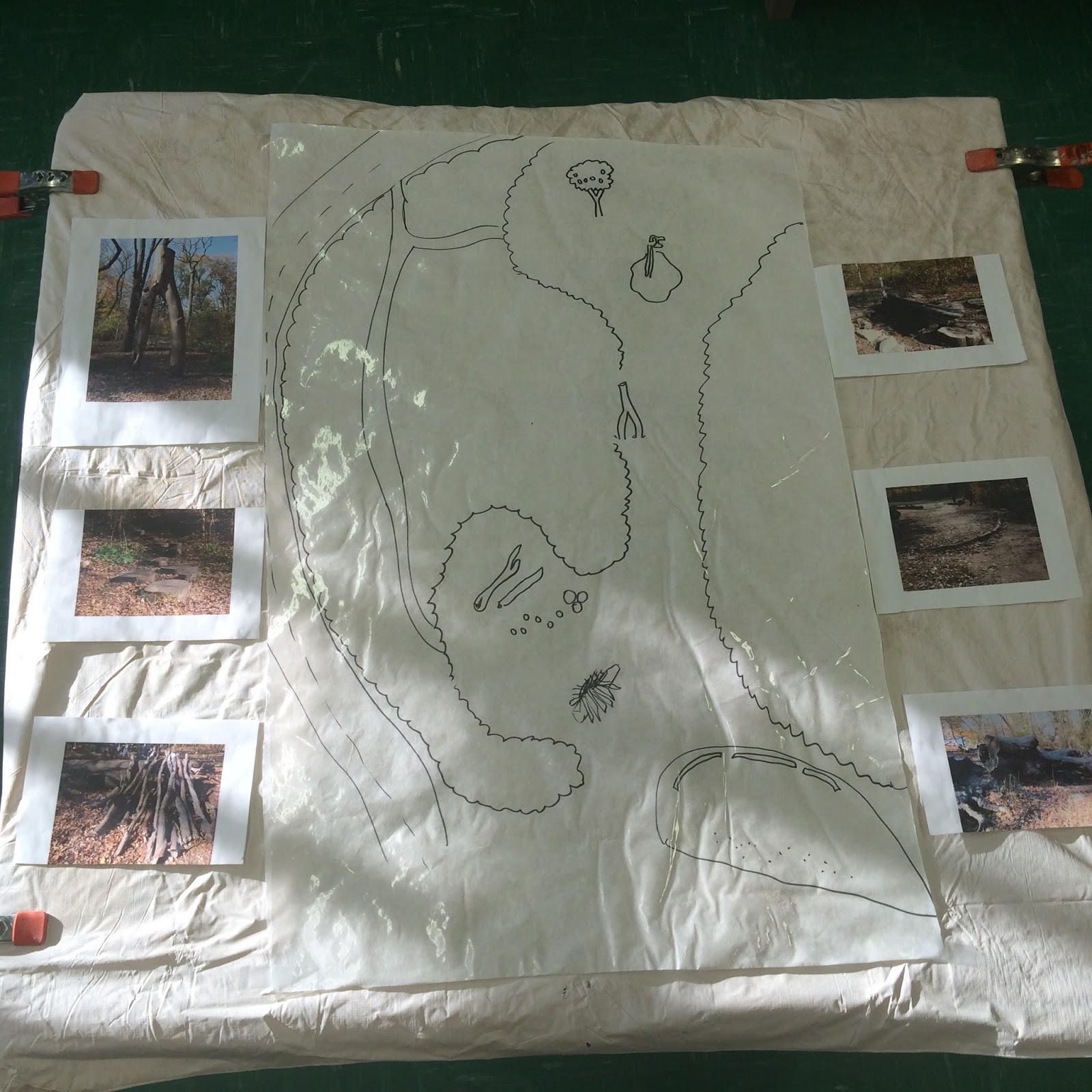 Ecorama: Pre-K Forest School: Bringing the Forest Back to School