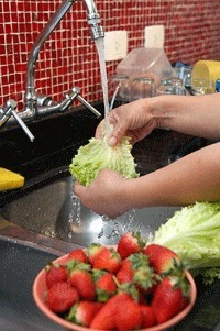 COMO LAVAR FRUTAS Y VERDURAS : FRUTAS VERDURAS BENEFICIOS PROPIEDADES Y ...