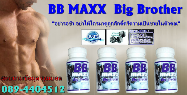 POWER-BB MAX