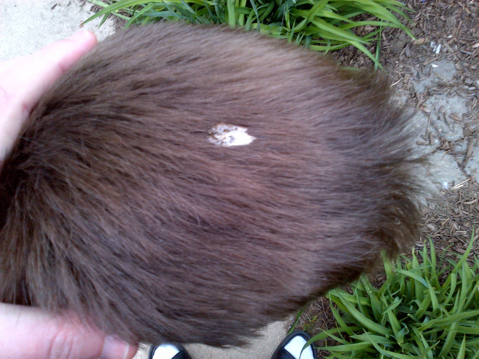 The Poop: 4/21/13 - 4/28/13