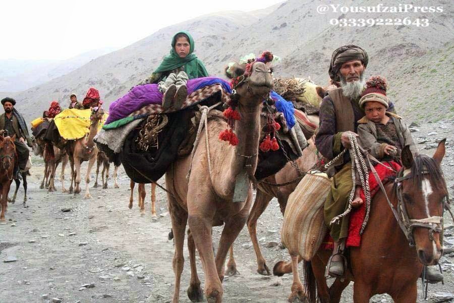 The Yousafzai State of Swat: Pashtunes Tribes Cochian