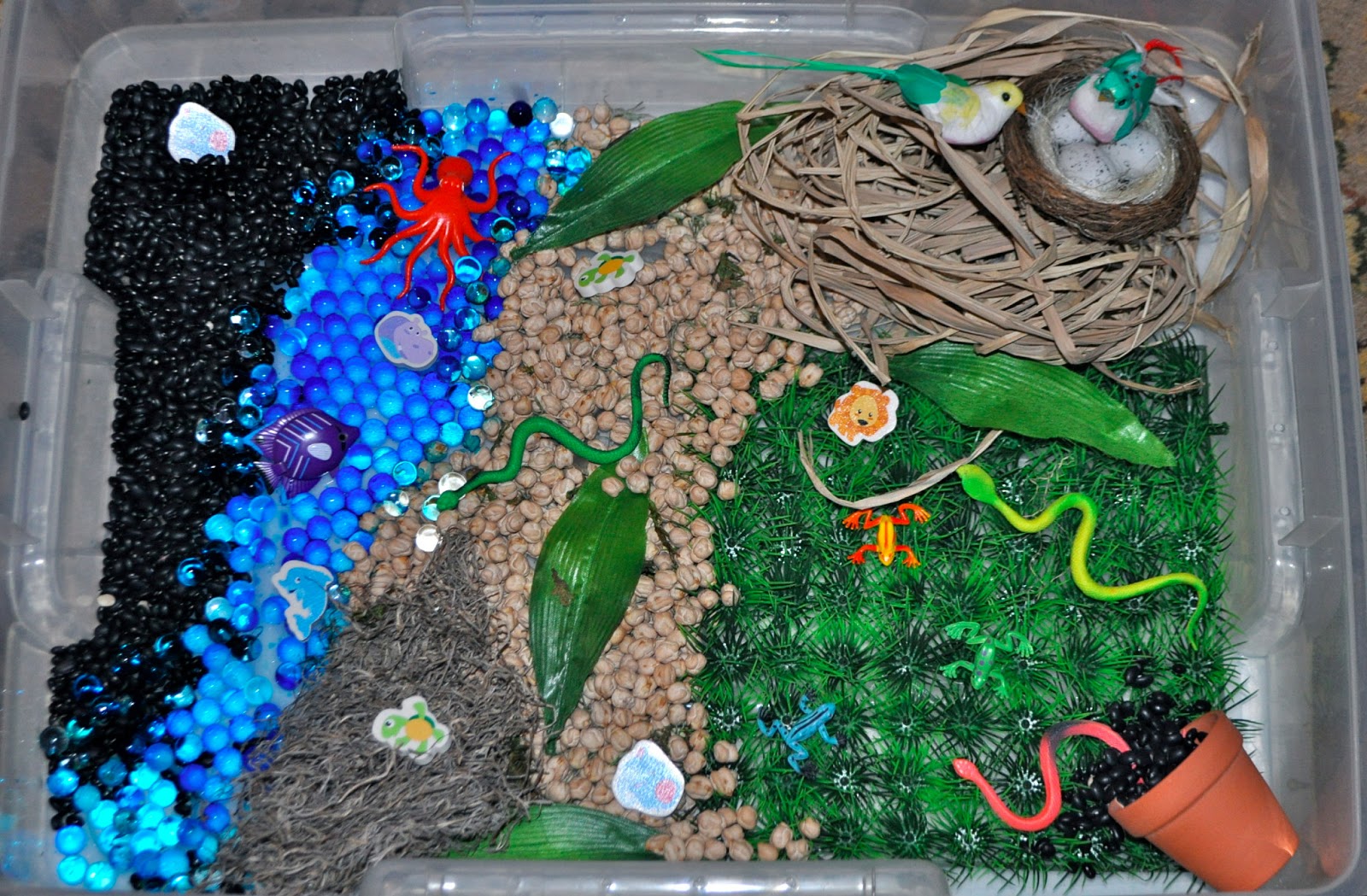Minding Monkeys: Sensory Bins