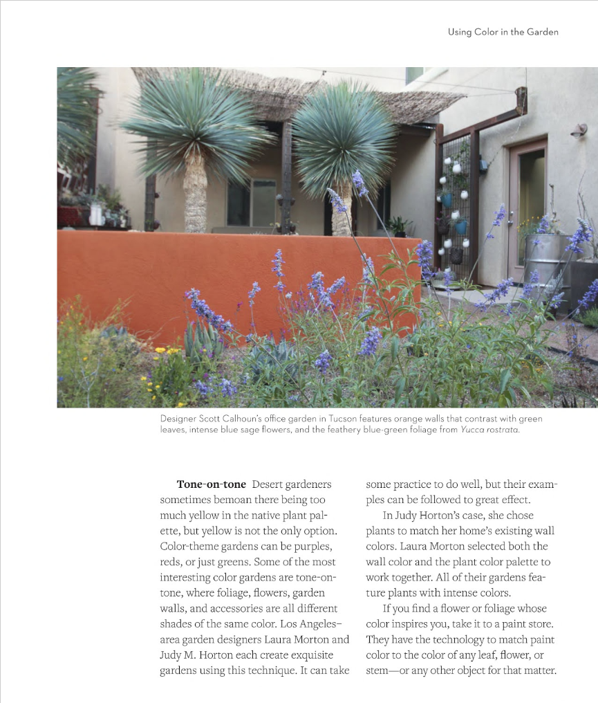 Hot Color, Dry Garden