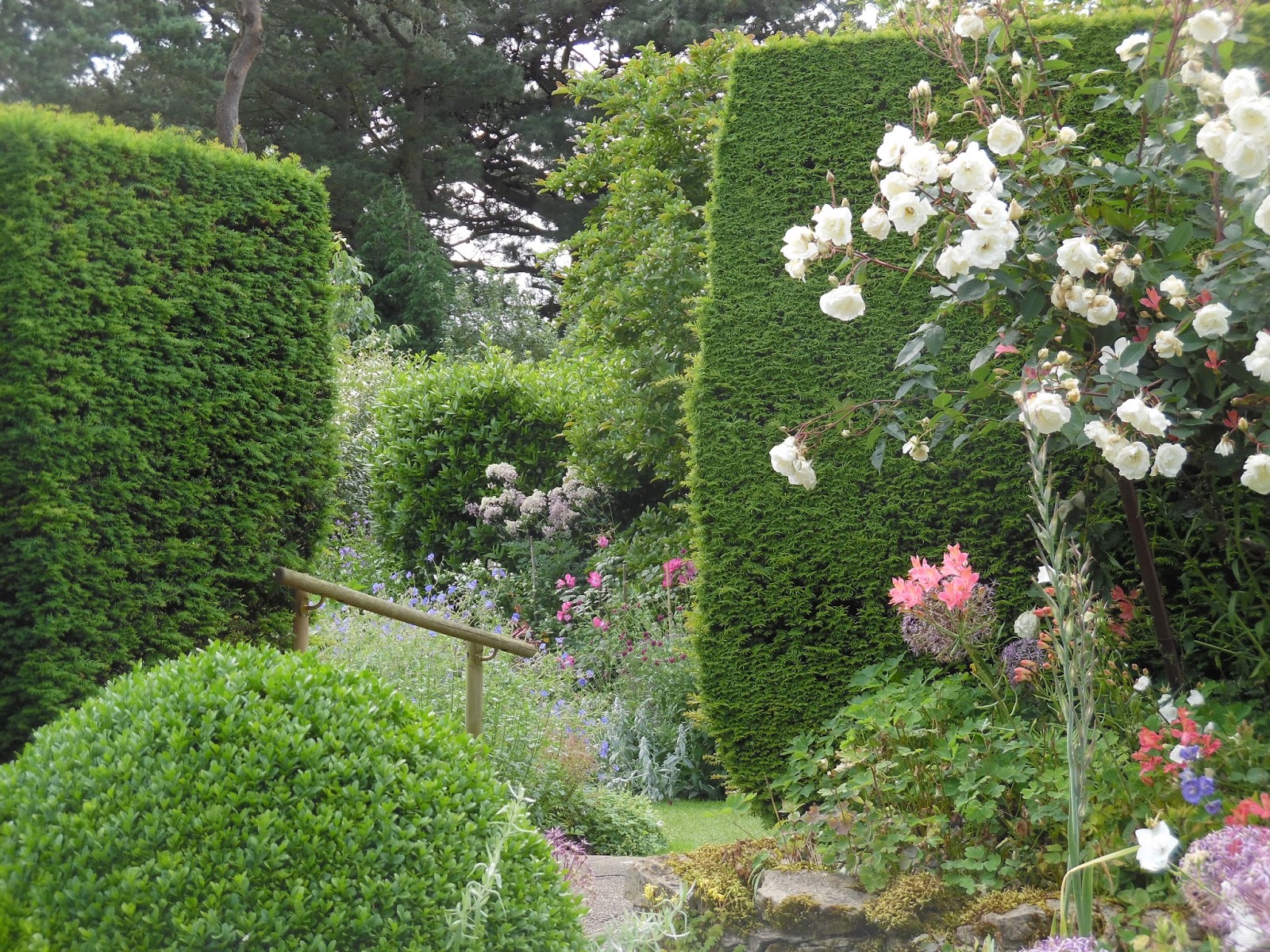Ogród Tamaryszka: KIFTSGATE COURT GARDENS