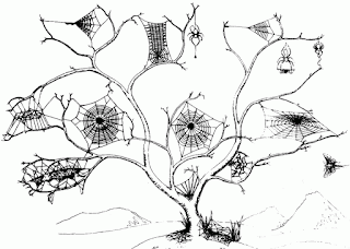The Genealogical World of Phylogenetic Networks: Metaphors for ...