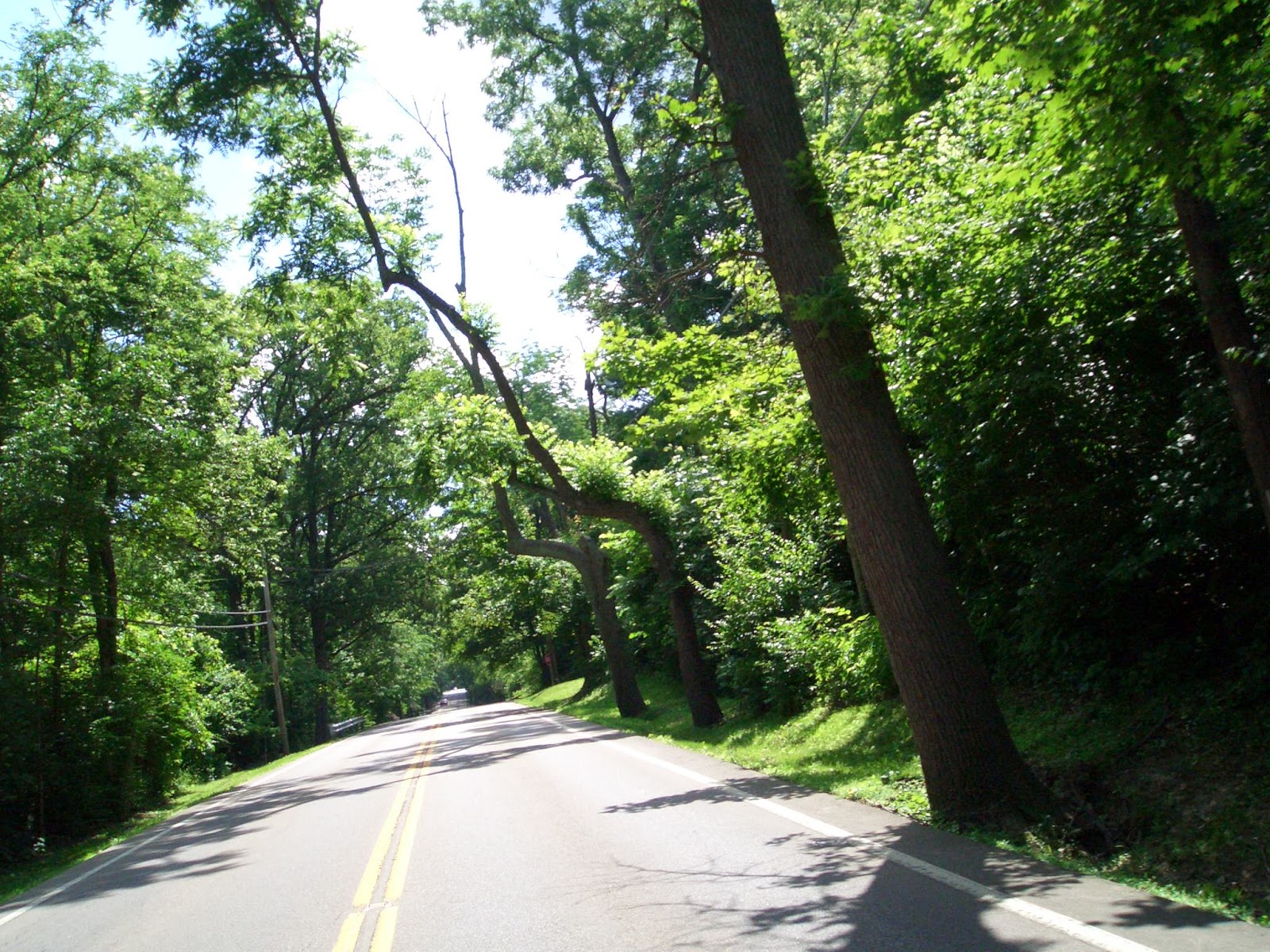 The Poetry of Wayne Box Miller