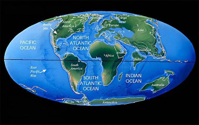 Fósseis, a evolução da vida: Museu virtual. : 13. Período Paleogeno