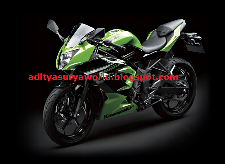 Kawasaki Ninja 250 RR Mono 2014 ~ Black and Silver