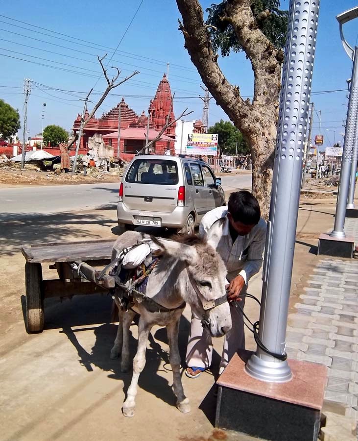 Stock Pictures: Donkey Carts