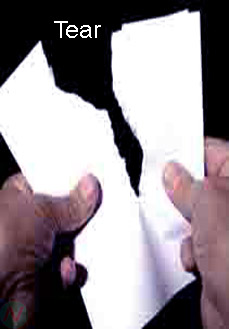 Learn Different Ways of Crying Name with Necessary Vocabulary ...