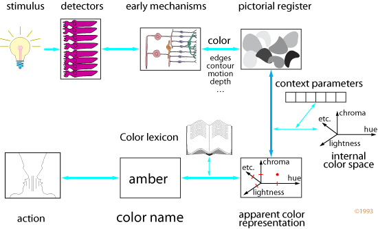 The Mostly Color Channel: Conscious awareness