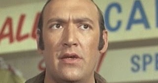 Carry On Blogging!: Bernie Carries On … As Bernie Lugg!