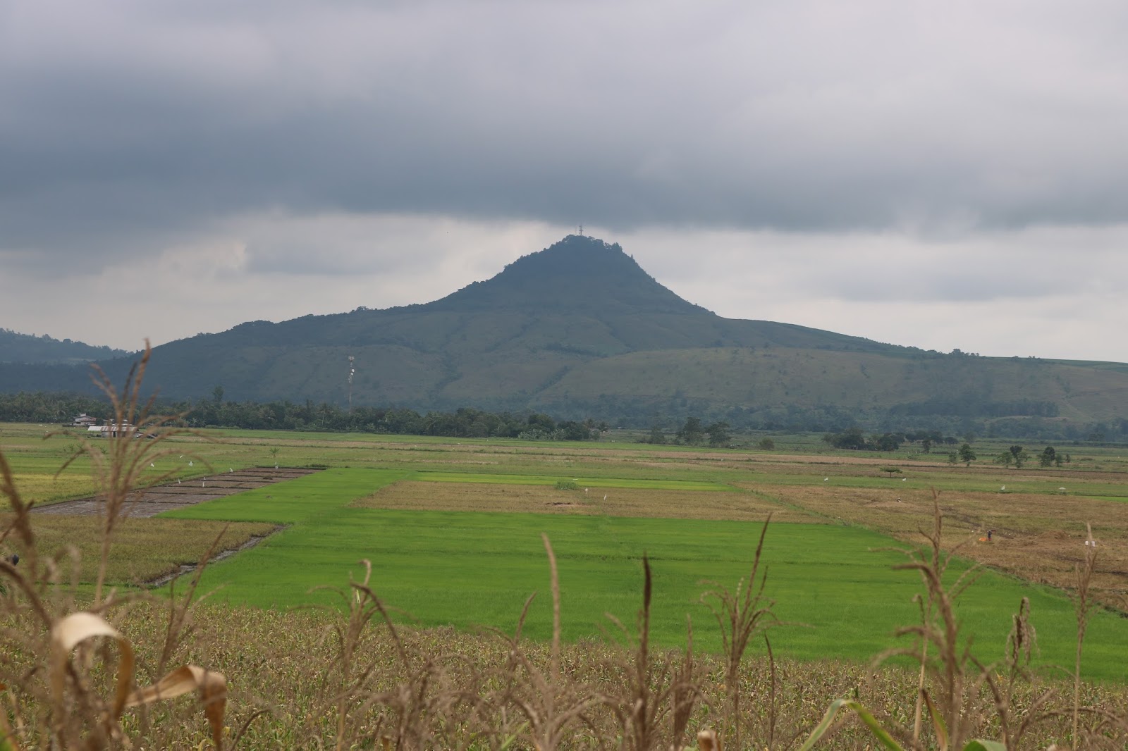 IT'S MORE FUN IN THE PHILIPPINES :-)