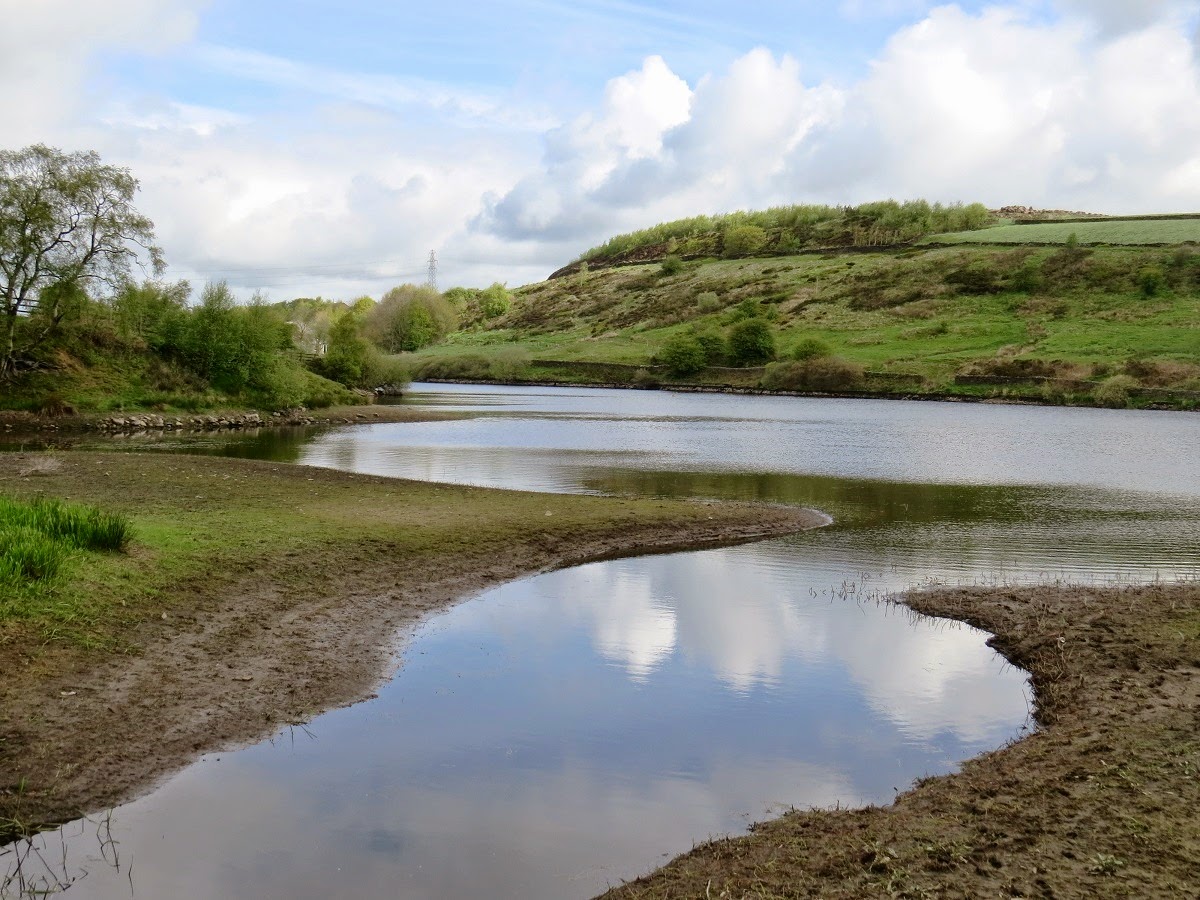 Dannysbirds: Denholme Clough to Doe Park Reservoir
