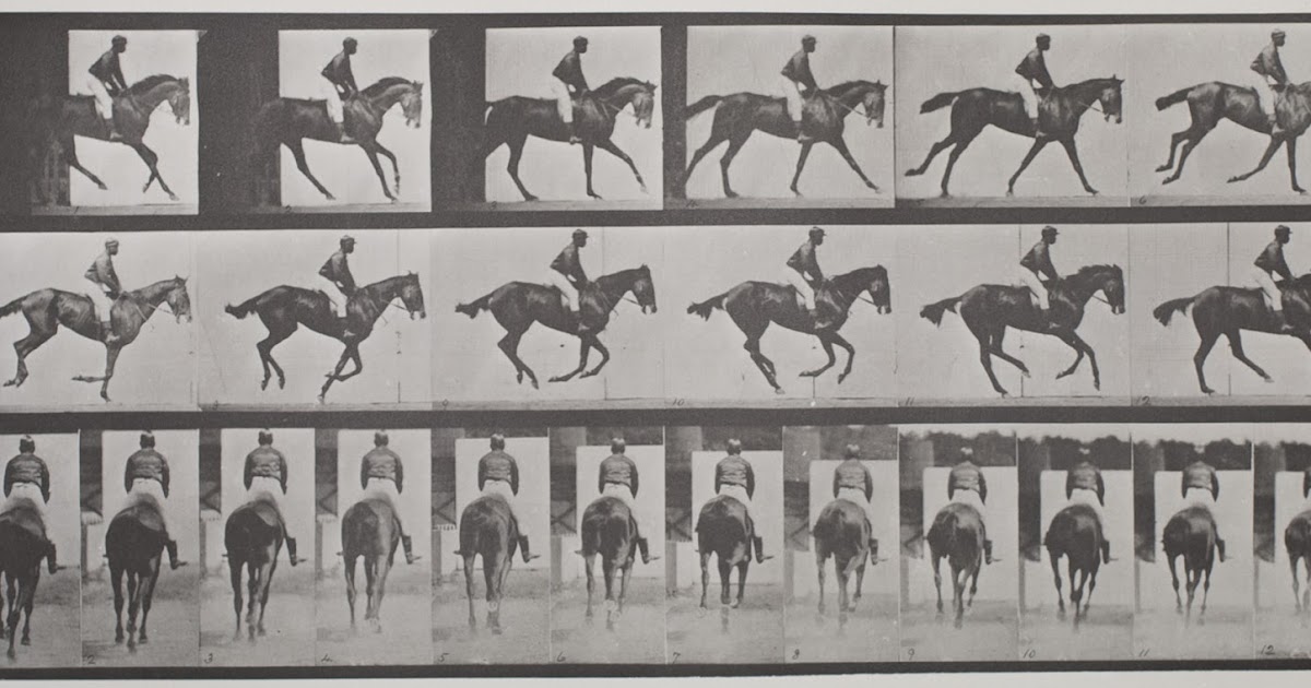 Rauner Special Collections Library: A Body in Motion