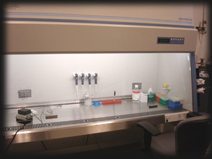 Stuart's Science: Adding some culture (and history) to the blog