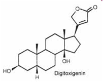 Betsabea Sbrocca: Digitalis Purpurea O.o Foxglove