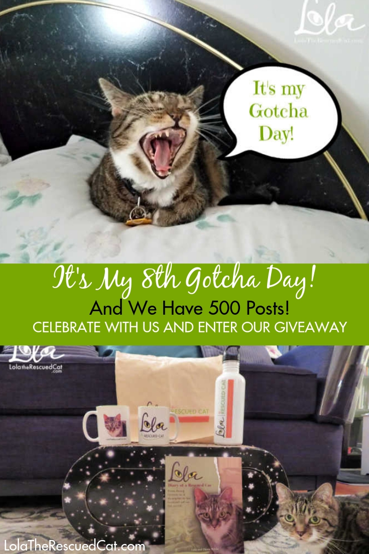 My 8th Gotcha Day, 500 Posts, A Comment-thon AND A Giveaway! | Lola The ...