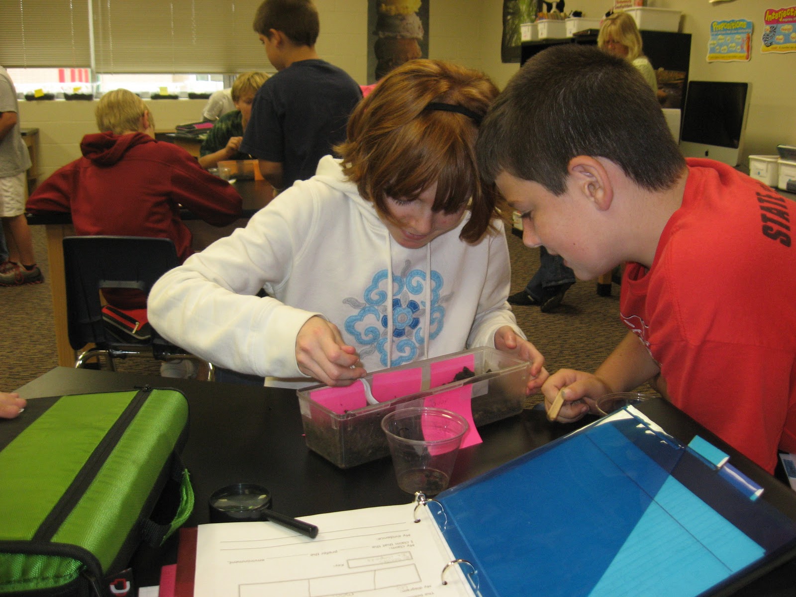 The View from Fifth Grade: Studying Bugs!