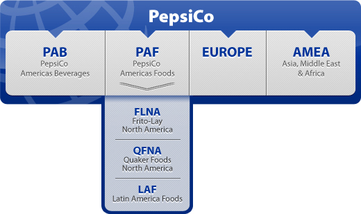 Visible Business: PepsiCo Structure