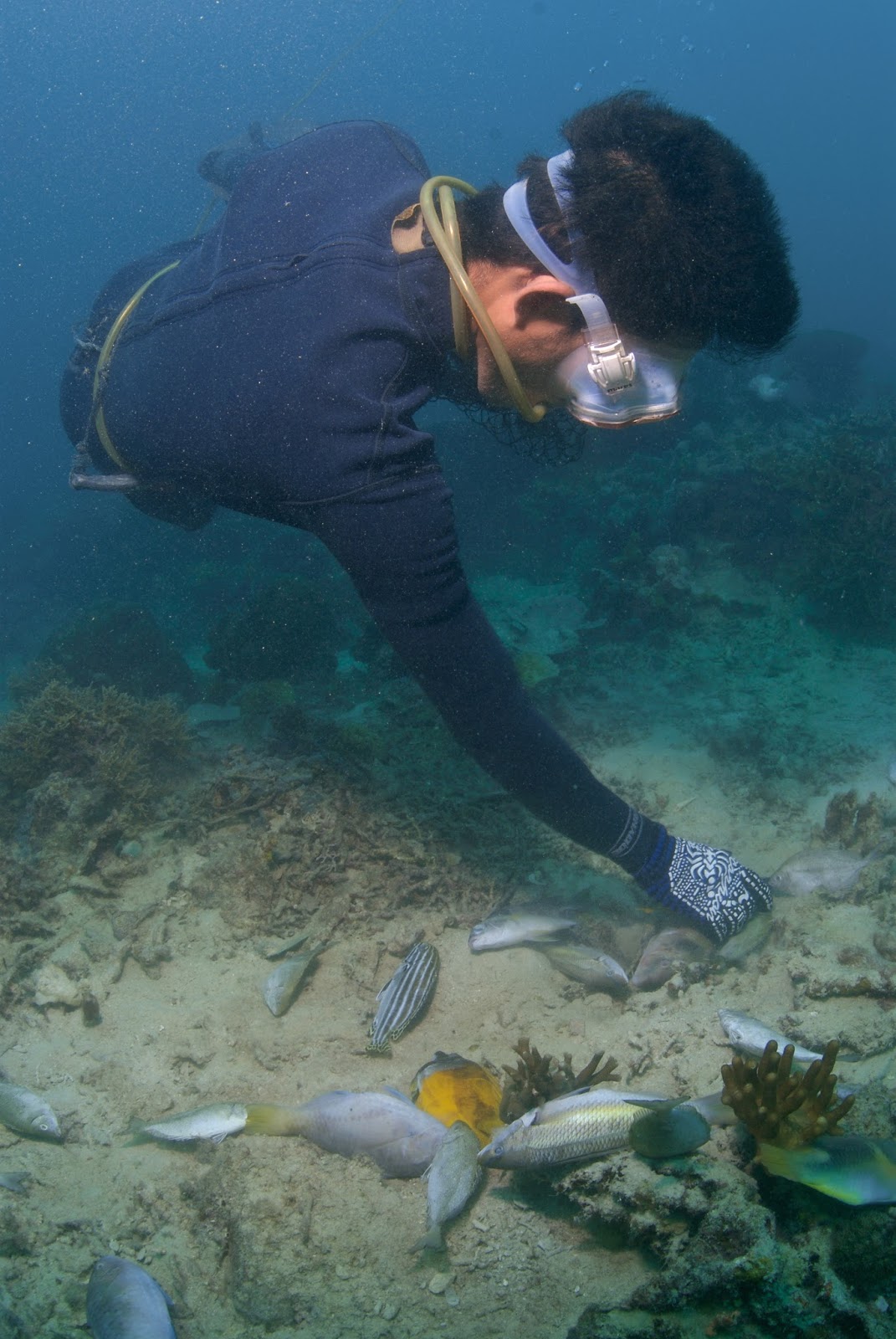 Unsustainable Harvests