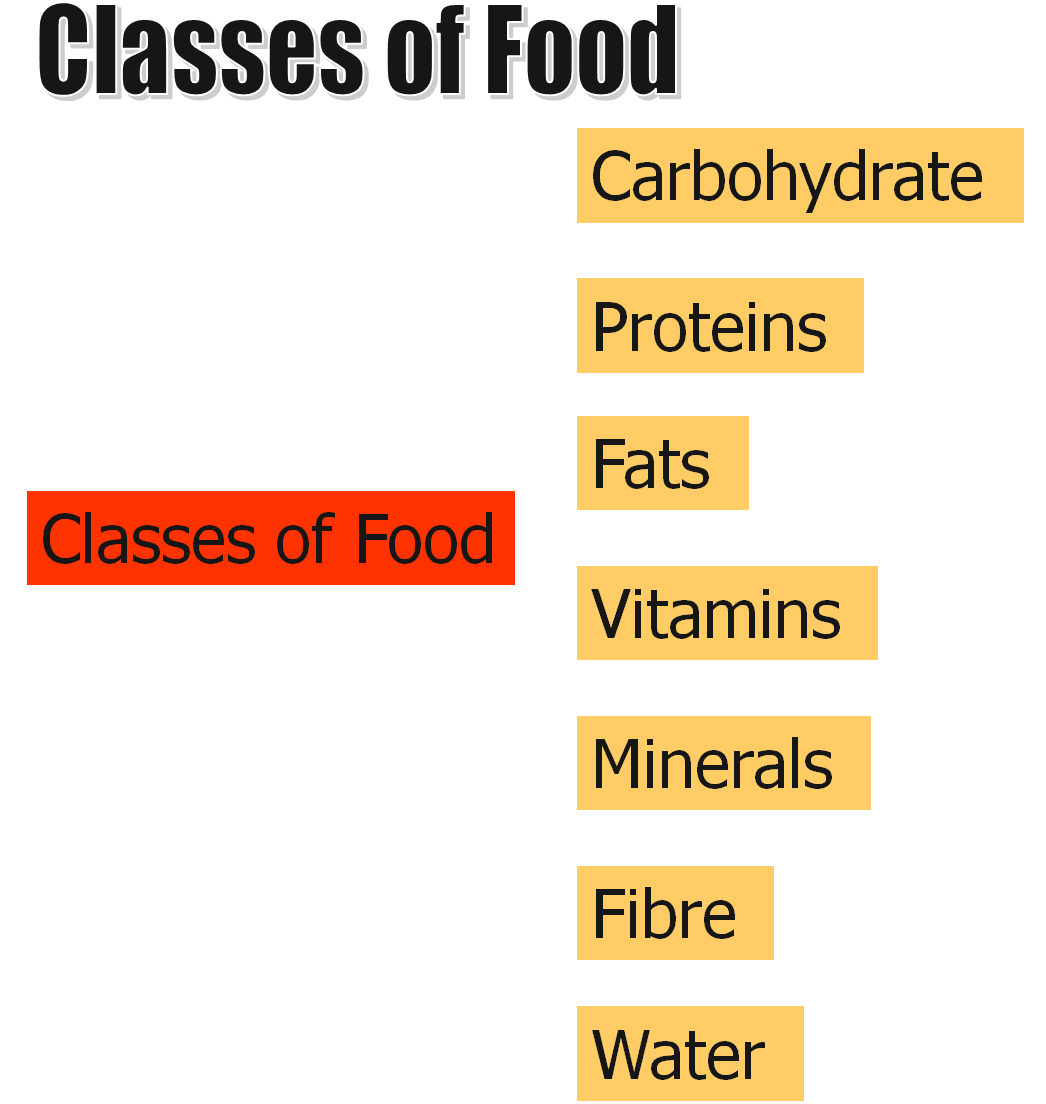 2.1 CLASSES OF FOOD | MScienceBuzz