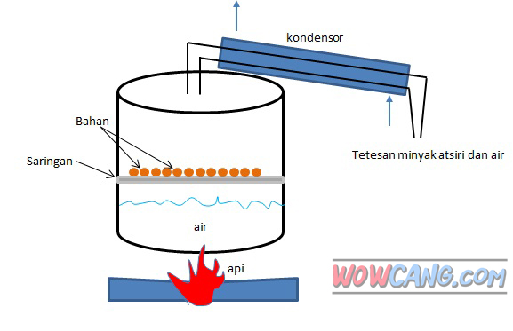 Apa itu Minyak Atsiri? dan Bagaimana Proses Pengambilannya? - WOWCANG