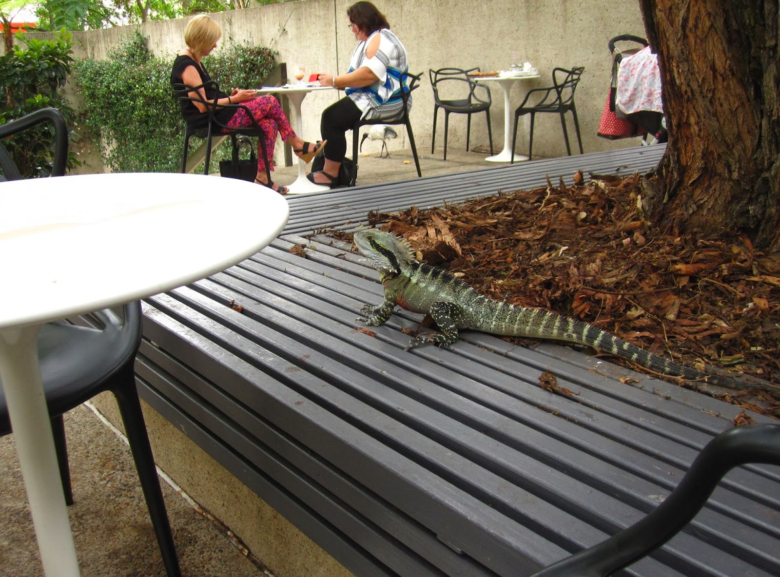 The Shopping Sherpa: 2013