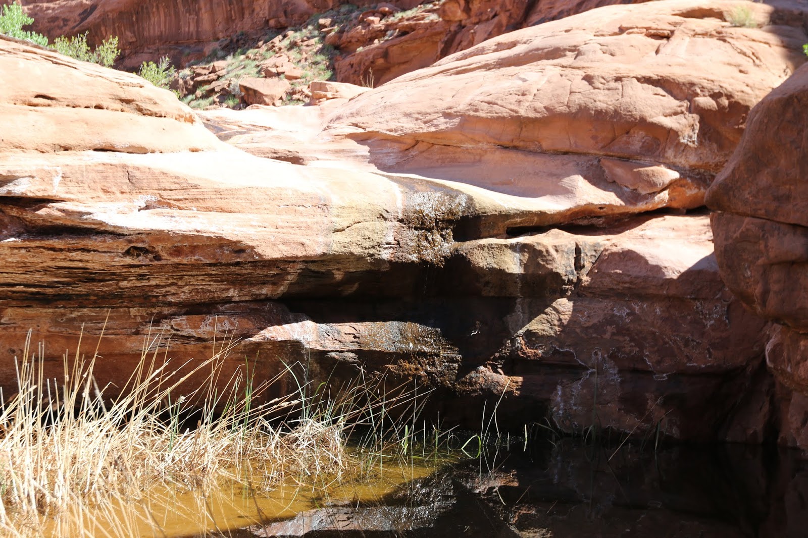 gjhikes.com: Butler Canyon