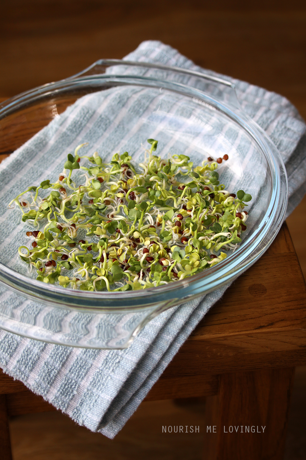 Nourish me lovingly: Radish sprouts